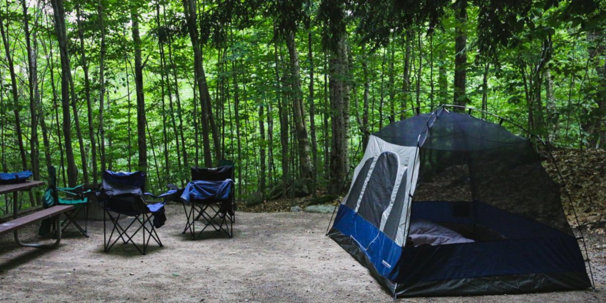 Keeping Your Campsite Clean: A Camp Cleaner’s Guide | Rise and Shine